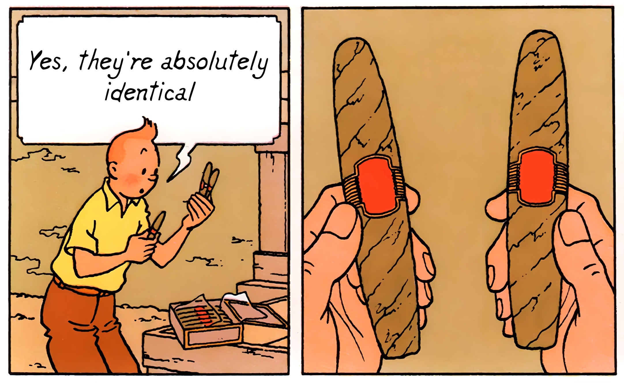 Tintin absolutely identical Meme Template | Insider Memes | Viral Meme ...