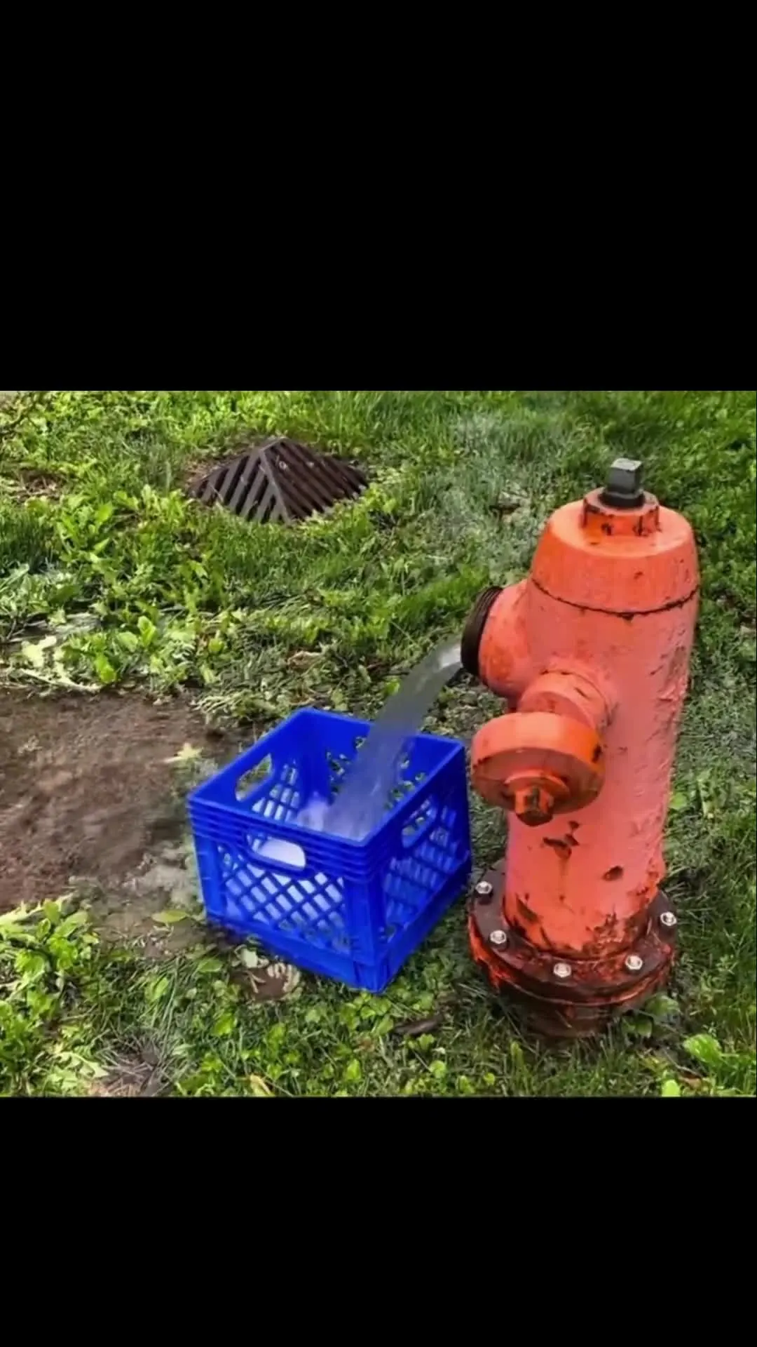 Milk crate catching water Meme Template | Insider Memes | Viral Meme ...